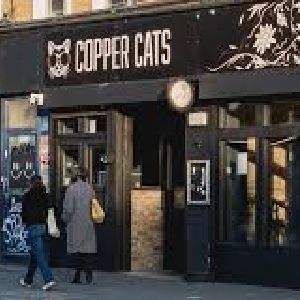 Host Your Next Event at Copper Cats - Perfect Event Venue